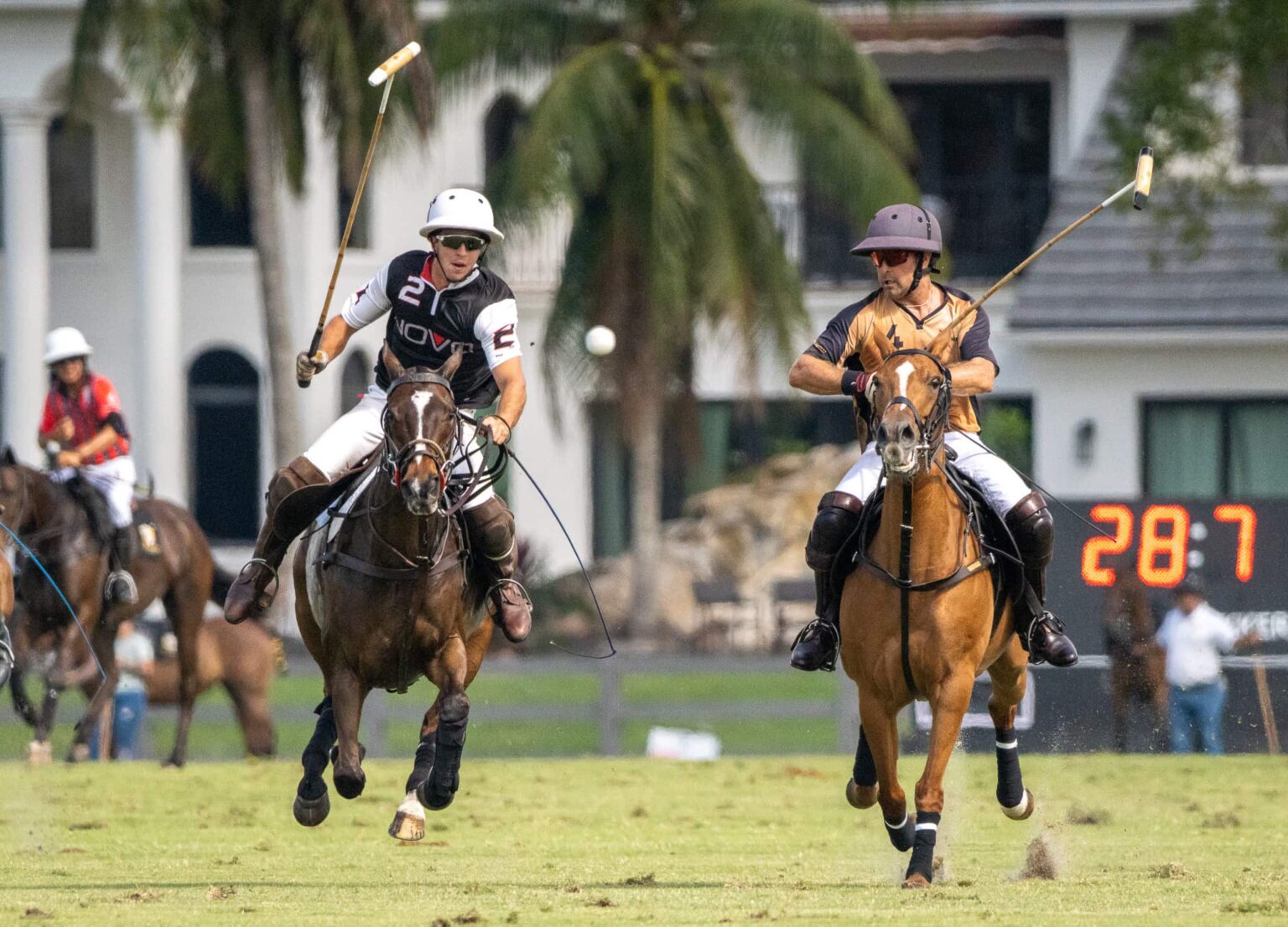 Meadow Brook Polo Club & Academy